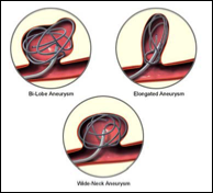 Balsam Darwish MD FRACS